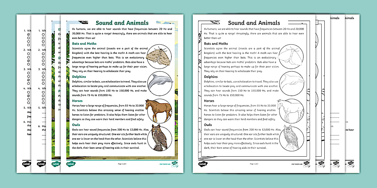 Fifth Grade Sound and Animals Reading Comprehension Worksheet