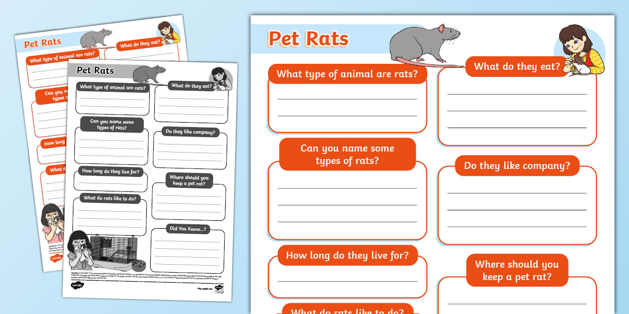 Rat Fact File Template - Twinkl Templates - Twinkl