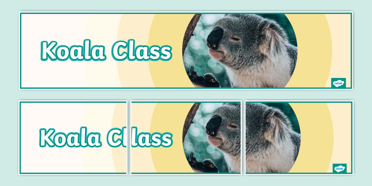 Koala Class Photo Display Banner (Teacher-Made) - Twinkl