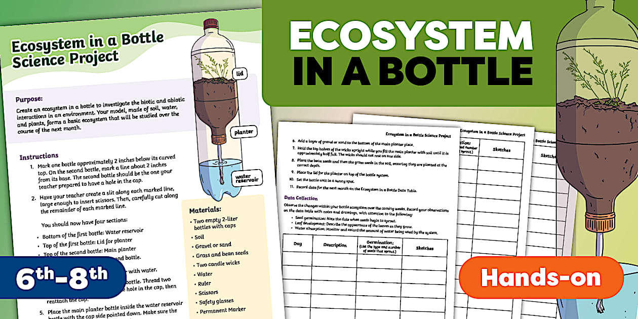Ecosystem in a Bottle Science Project for 6th-8th Grade