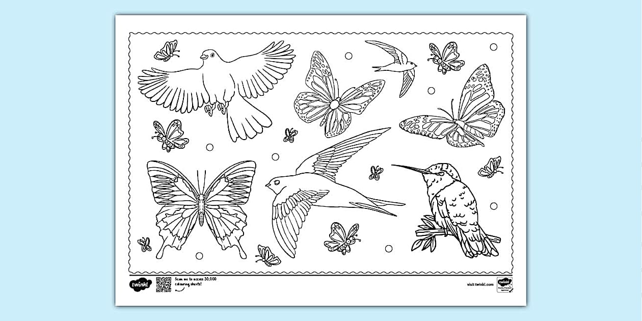 Birds and Butterflies Doodles Colouring Sheet - Twinkl