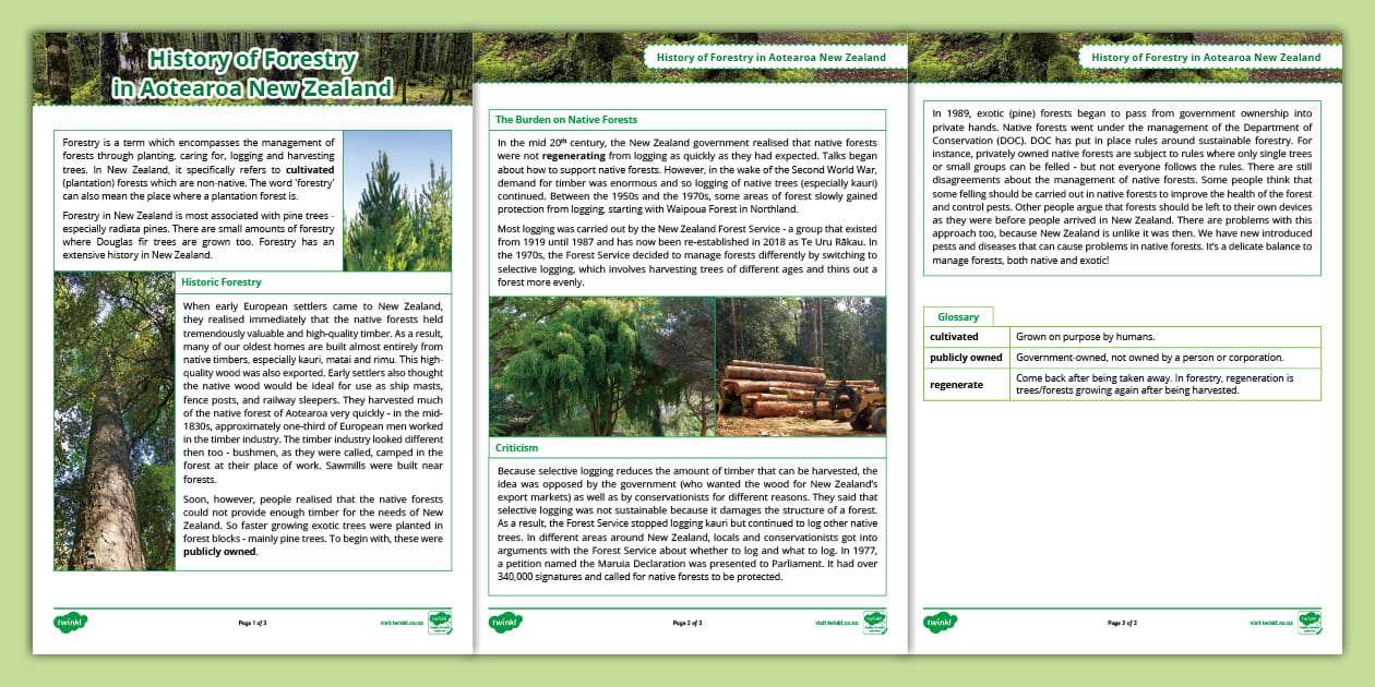 History of Forestry in Aotearoa New Zealand Fact File