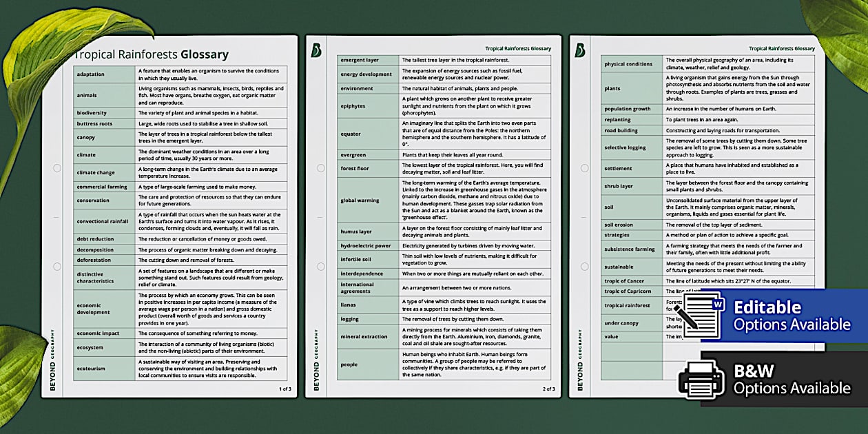 GCSE AQA Tropical Rainforests Glossary (Teacher-Made)