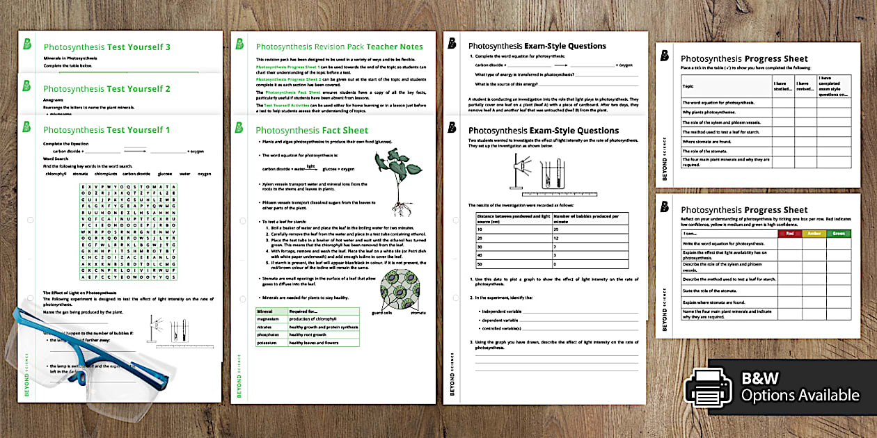Photosynthesis Worksheet Pack (Teacher-Made) - Twinkl