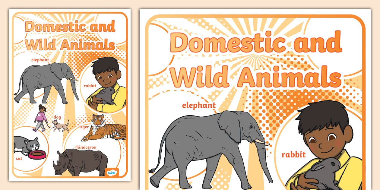 Domestic and Wild Animals Display Poster - Twinkl