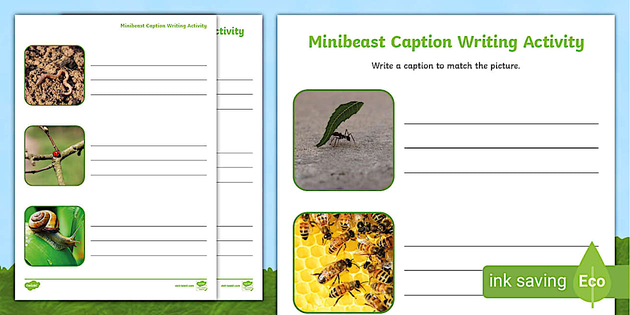 Editable Minibeasts Caption Writing Activity - Twinkl