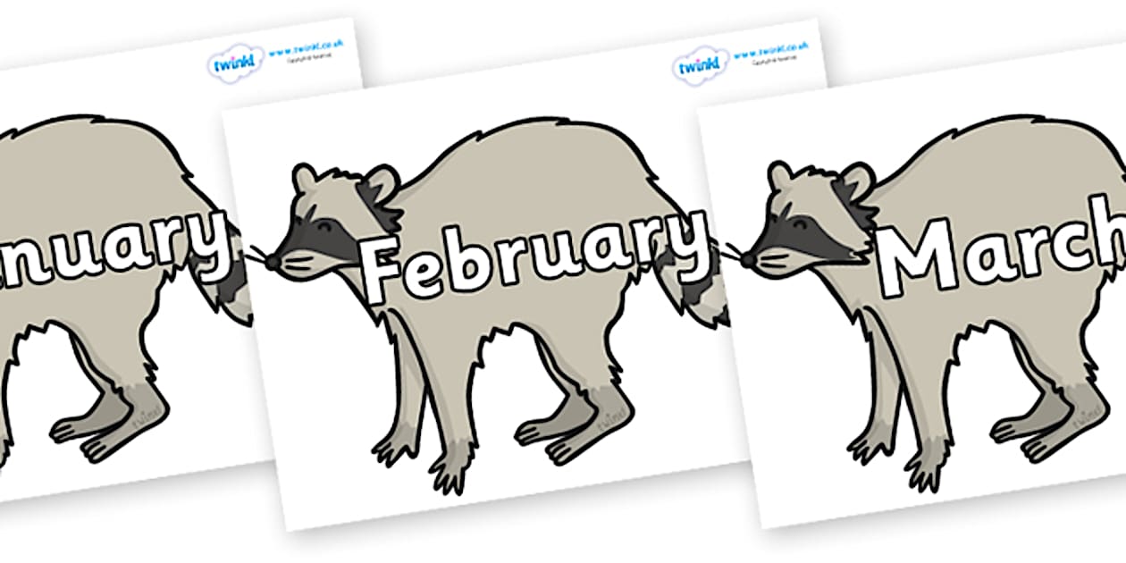 Months of the Year on Raccoons (Teacher-Made) - Twinkl