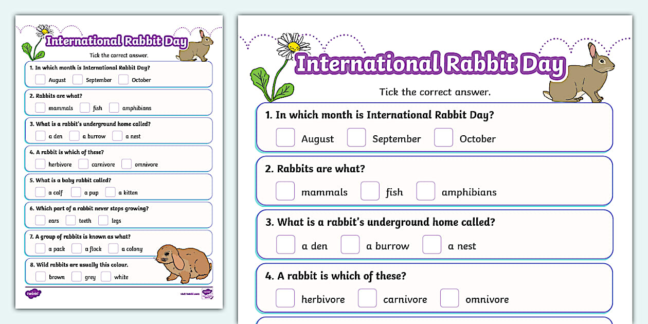 International Rabbit Day Quiz (Teacher-Made) - Twinkl