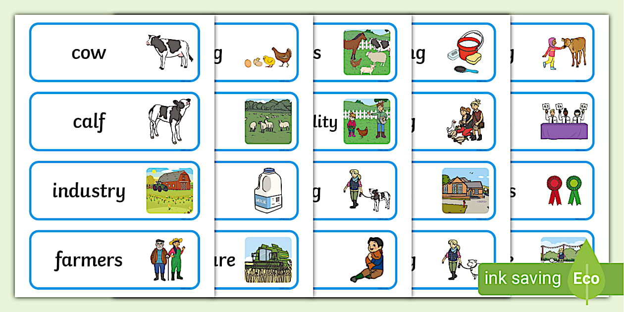 Calf Club Word Cards (teacher made) - Twinkl