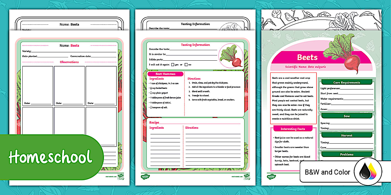 Beets Growing Guide (teacher made) - Twinkl