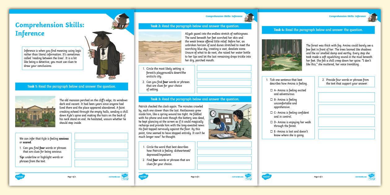 Inferring Meaning Activity Sheet (teacher made) - Twinkl