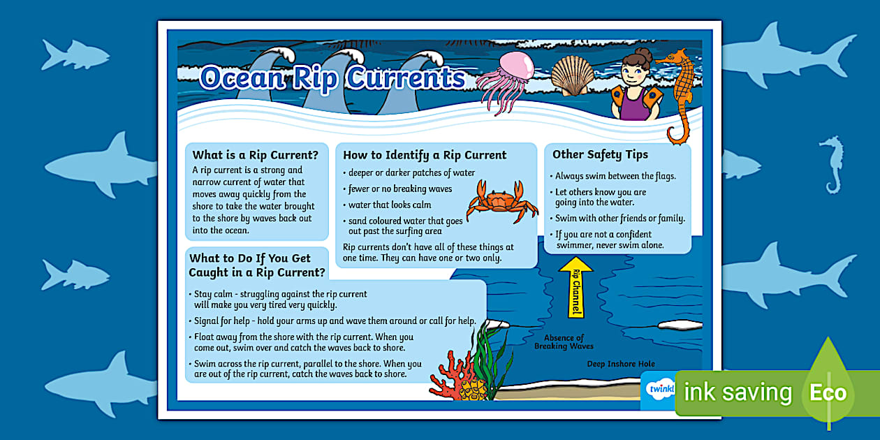 Rip Currents Display Poster Ι Water Safety (Teacher-Made)