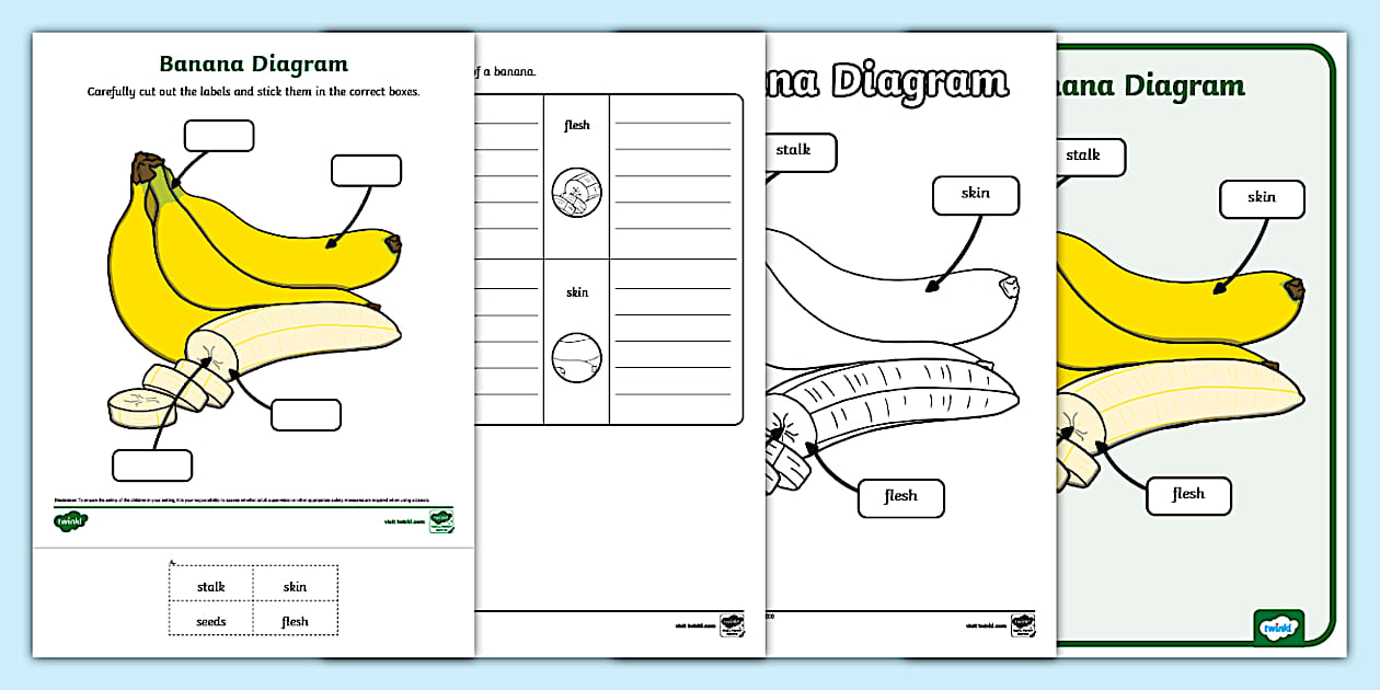 Banana Diagram Activity Pack (teacher made) - Twinkl