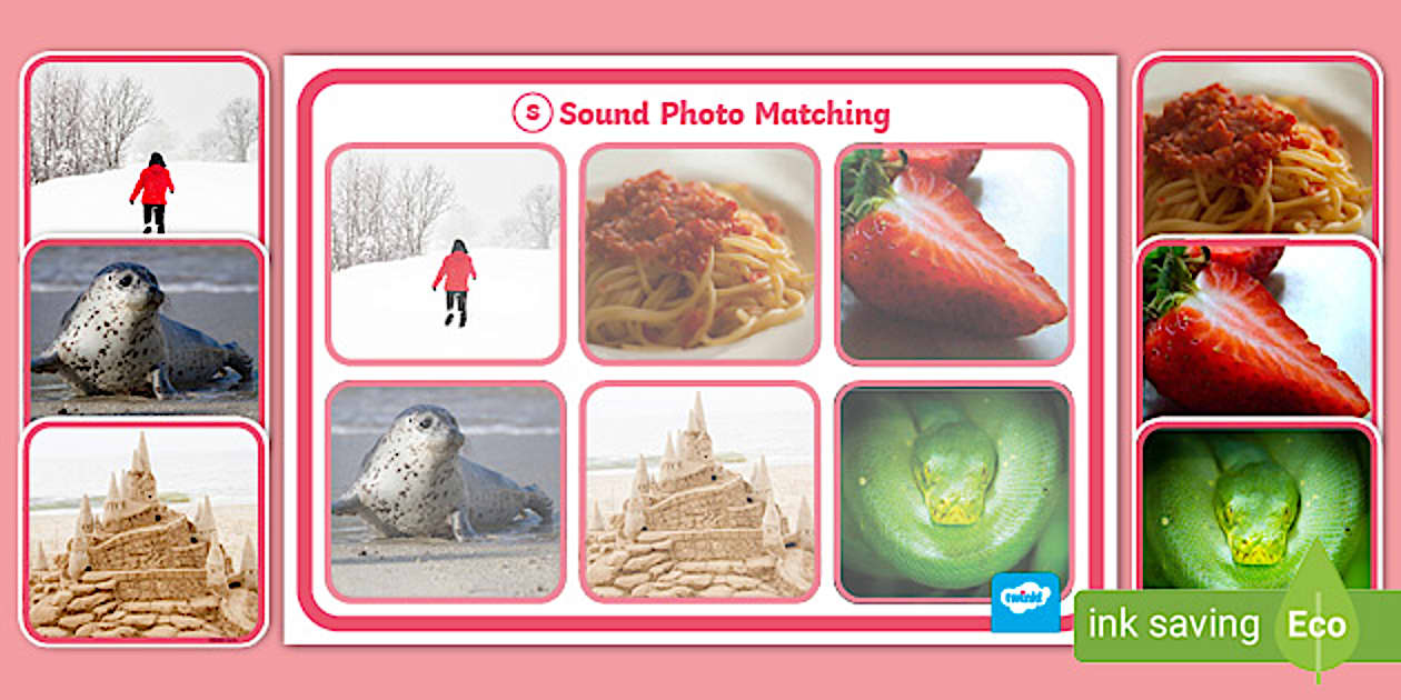 Initial s Sound Photo Matching Board and Cards - Twinkl