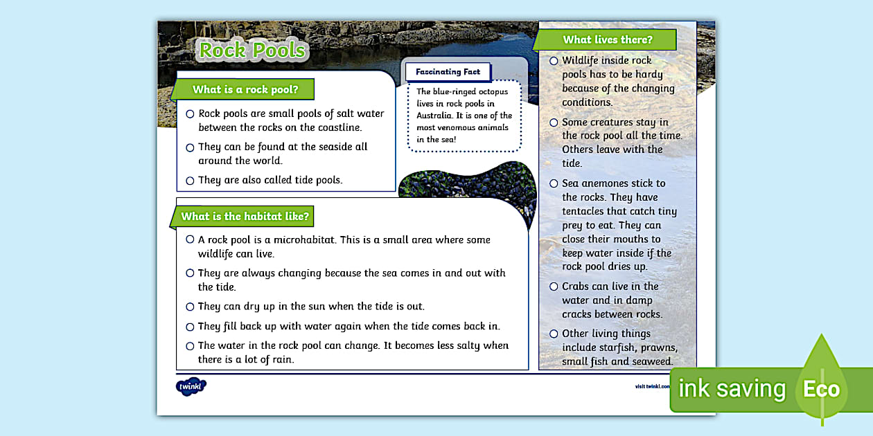 Rock Pools Fact File - KS1 - Habitats - Animals and Plants