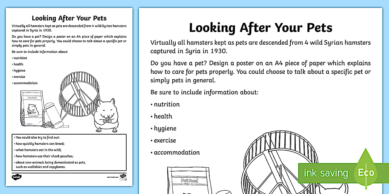 Editable Looking After Your Pets Worksheet - Twinkl