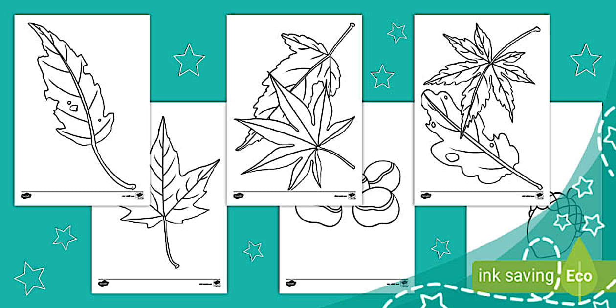 My First Autumn Leaves Colouring Pack (teacher made)