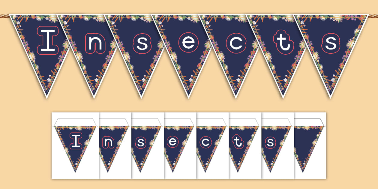 * NEW * Fynbos-Themed Insects Display Bunting - Twinkl