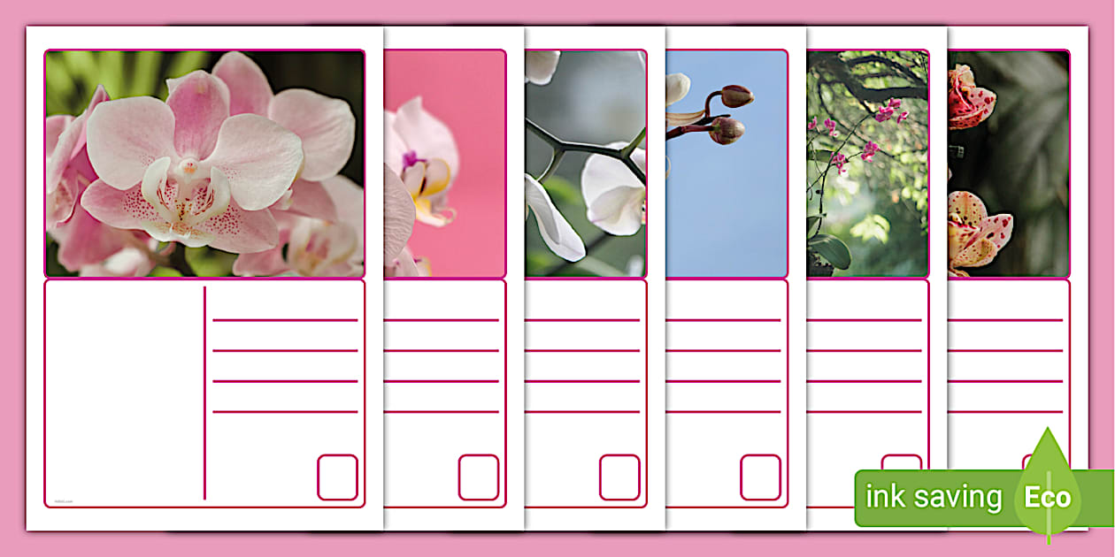 Orchid Themed Postcards | Twinkl Orchid Postcards | Twinkl