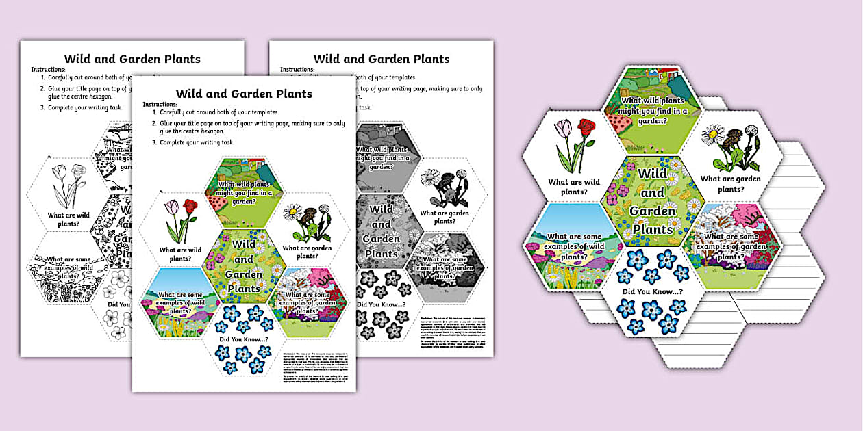 Wild and Garden Plants Hexagon Writing Template - Twinkl