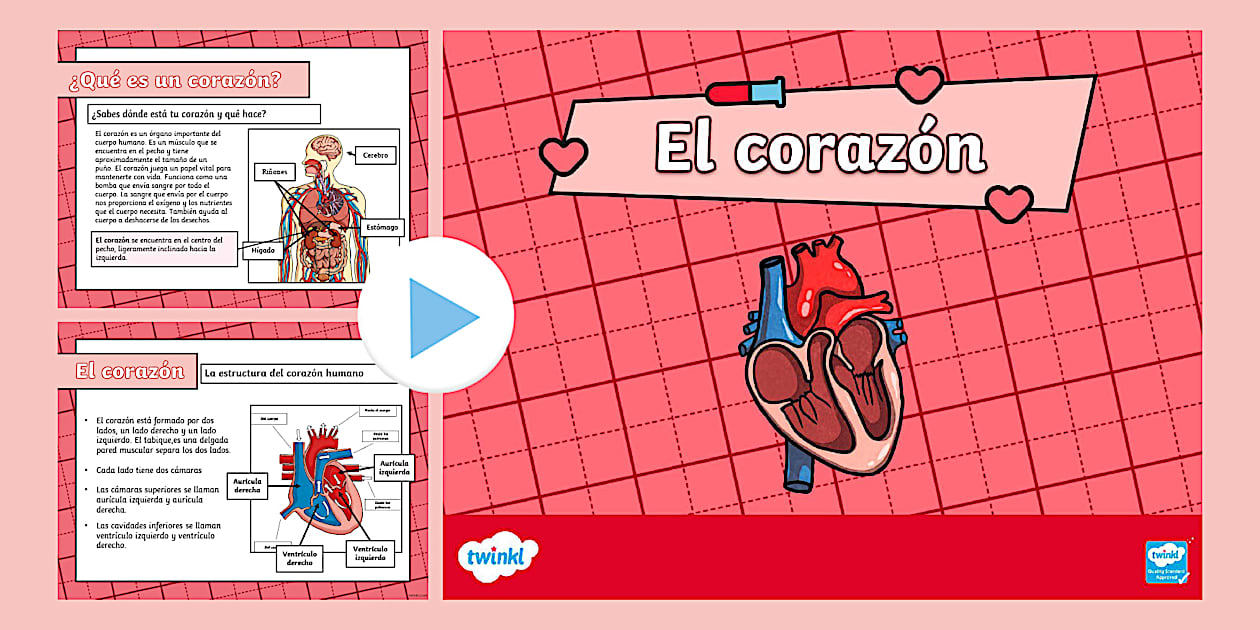 Powerpoint interactivo: El corazón | Twinkl (teacher made)
