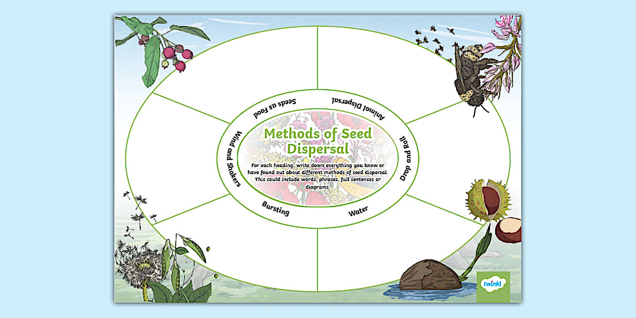 Methods of Seed Dispersal Around the Table (teacher made)