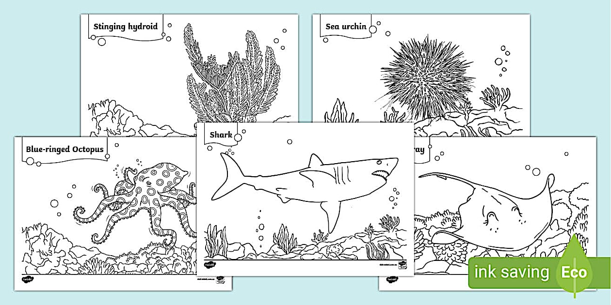 Dangerous Sea Creatures Around Australia Colouring - Twinkl