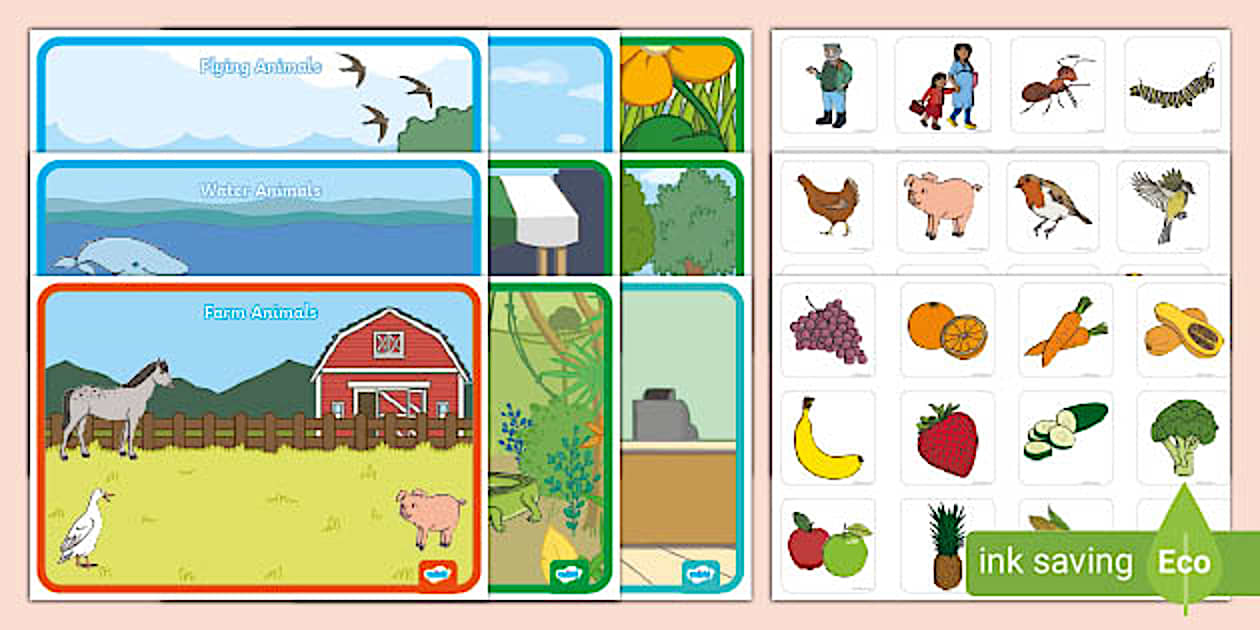 Category Sorting Activity (teacher made) - Twinkl