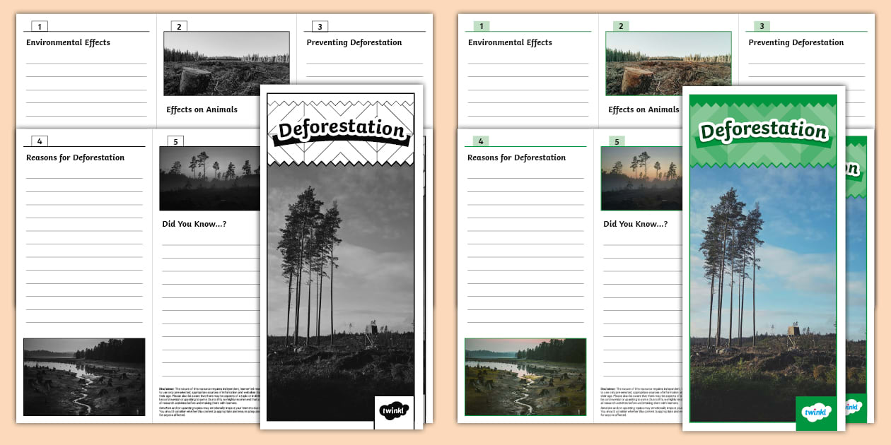 Deforestation Leaflet Template - Twinkl Science - Twinkl
