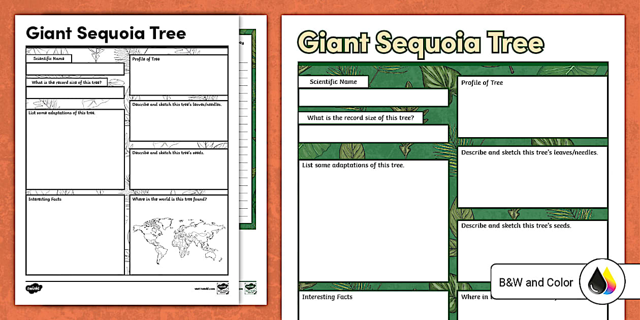 Giant Sequoia Tree Research Organizer Page for 6th-8th Grade