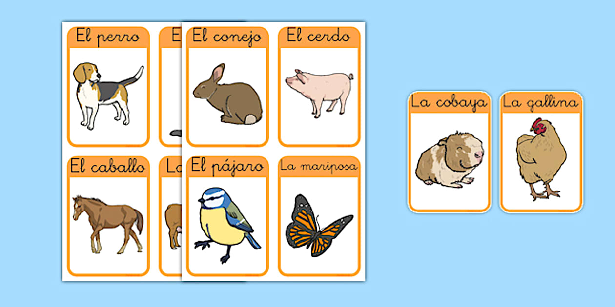 Tarjetas de vocabulario - animales de la granja - Twinkl