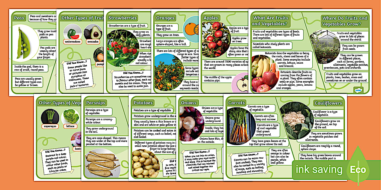 All About Fruits and Vegetables Fact Files (teacher made)