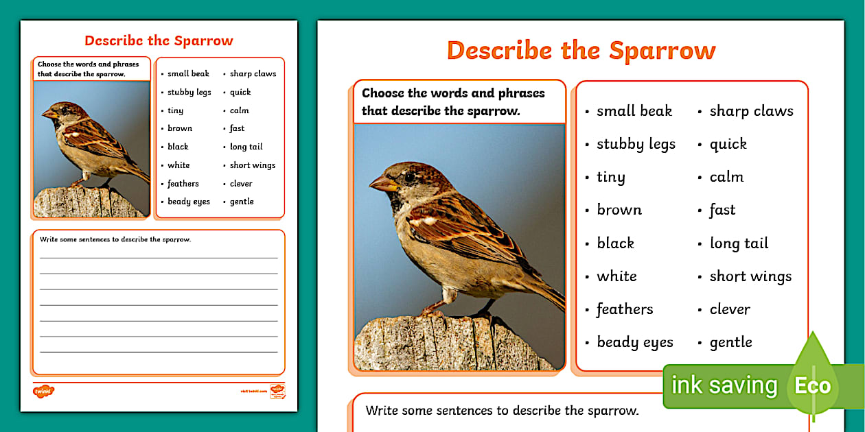 Describe the Sparrow Writing Worksheet - KS1 - Twinkl