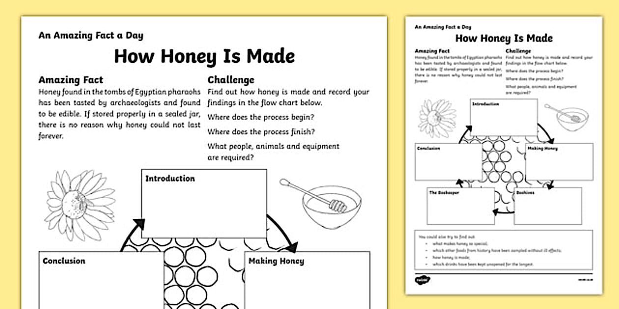 How Honey Is Made Worksheet / Worksheet, worksheet - Twinkl