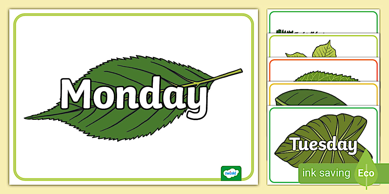 Days Of The Week leaves,botanical display (teacher made)