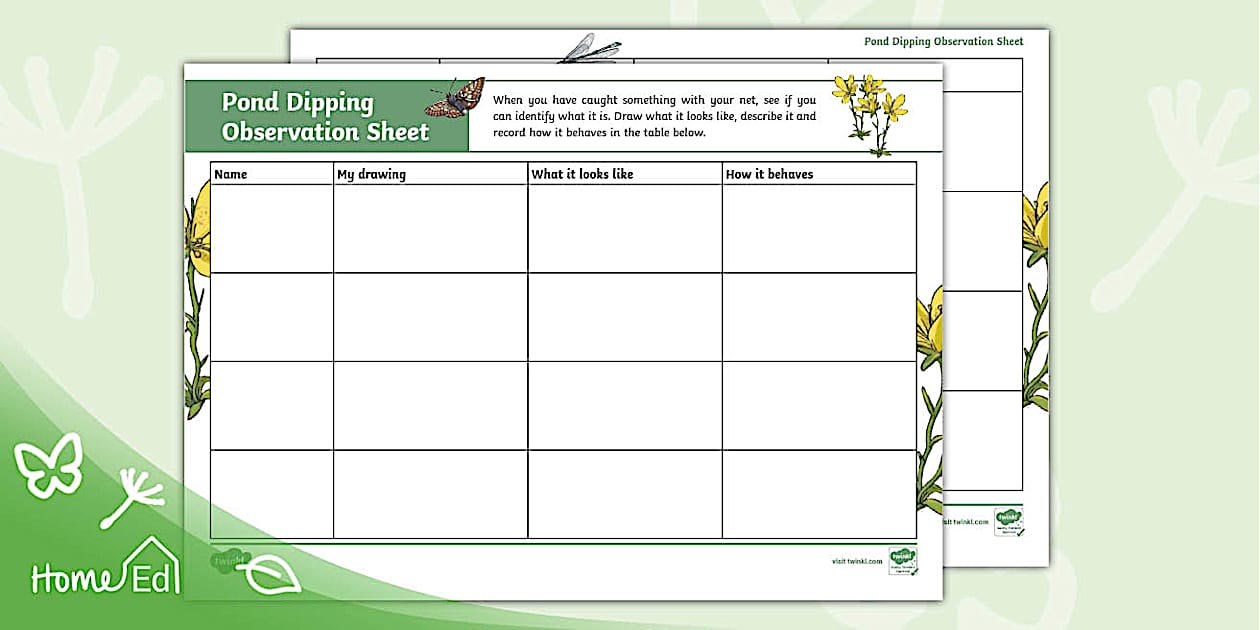 Pond Dipping Observation Sheet (teacher made) - Twinkl