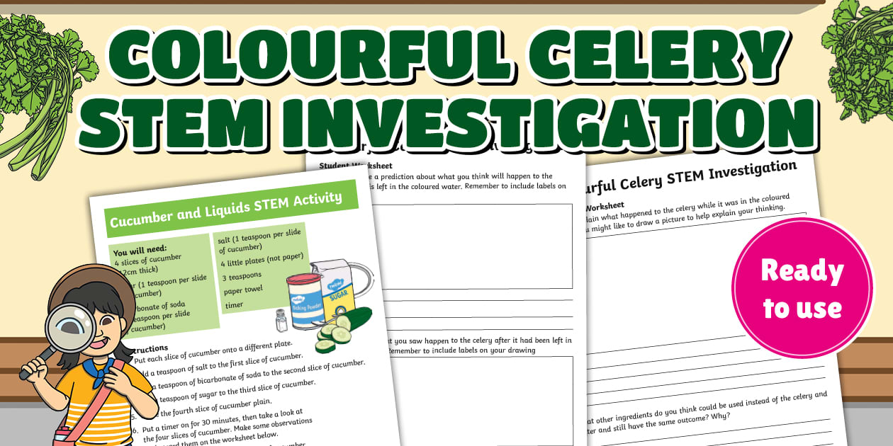 * NEW * Colourful Celery STEM Investigation | Year 2 Food Resources