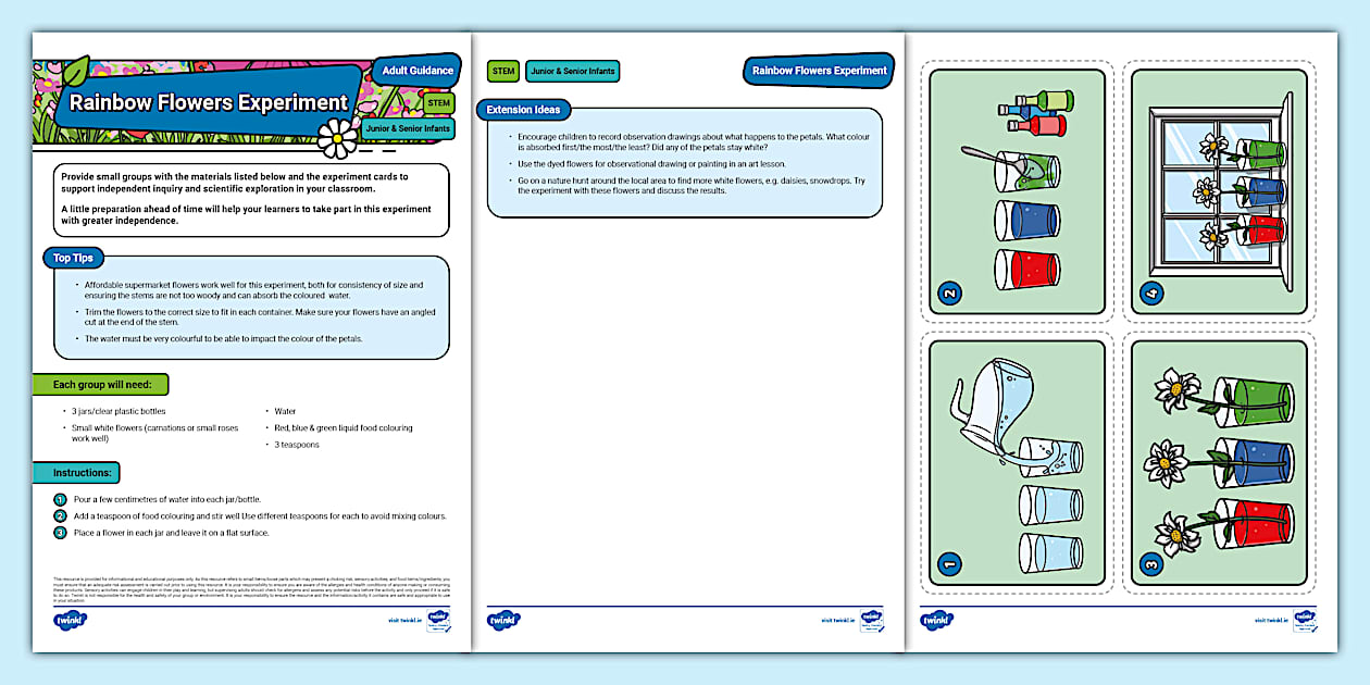 Rainbow Flowers Experiment (professor feito) - Twinkl