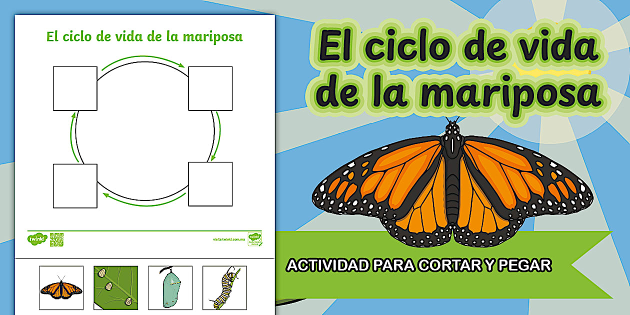 Hoja de actividad: El ciclo de vida de la mariposa