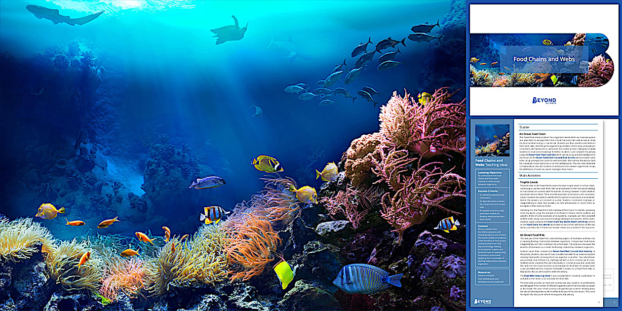 KS3 Food Chains and Webs Lesson Pack | Beyond Science