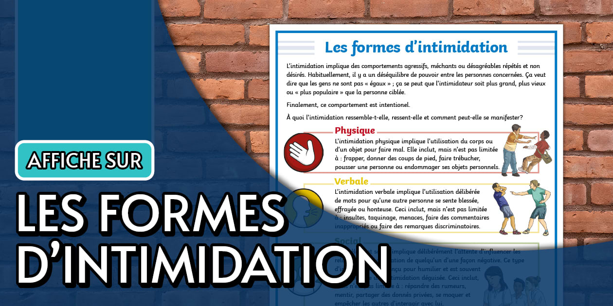 Types of Bullying Poster French