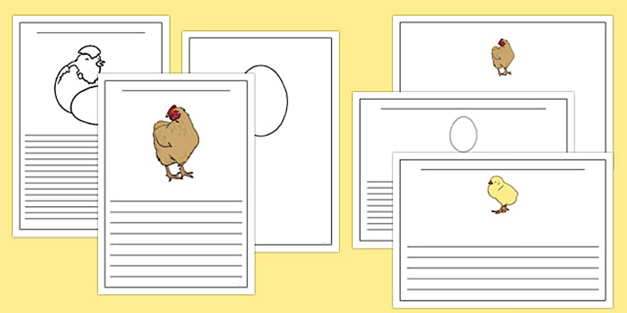 Editable Hen Life Cycle Writing Frames - Twinkl