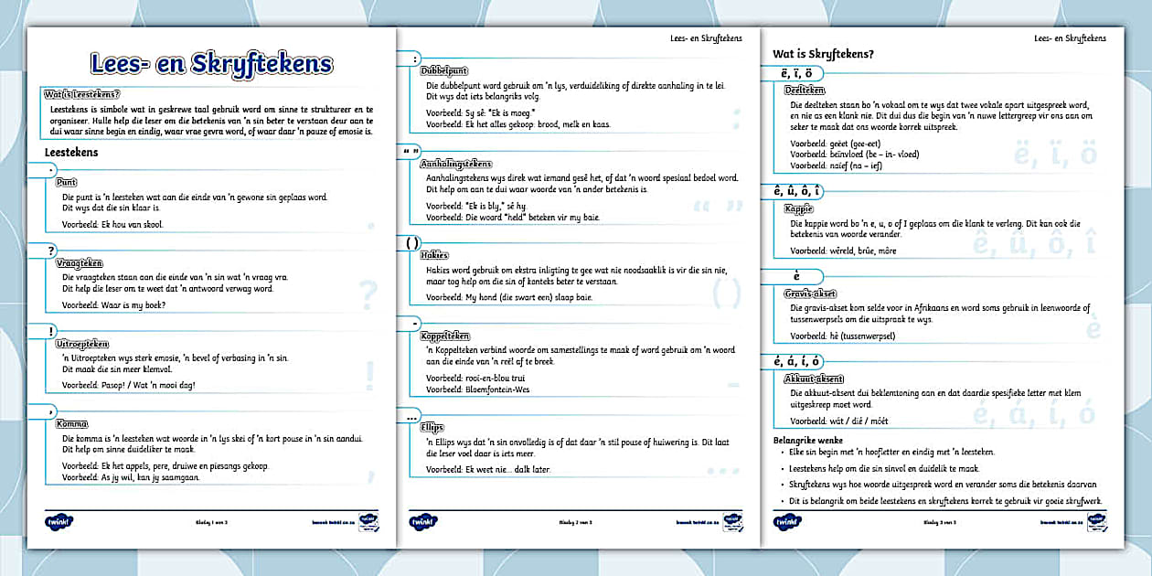 Lees- en Skryftekens Opsomming (teacher made) - Twinkl