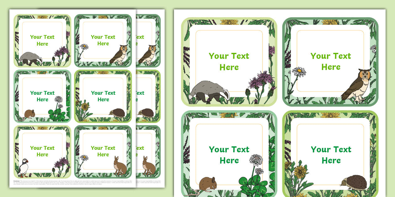 Ireland Flora and Fauna Themed Editable Coat Labels - Twinkl