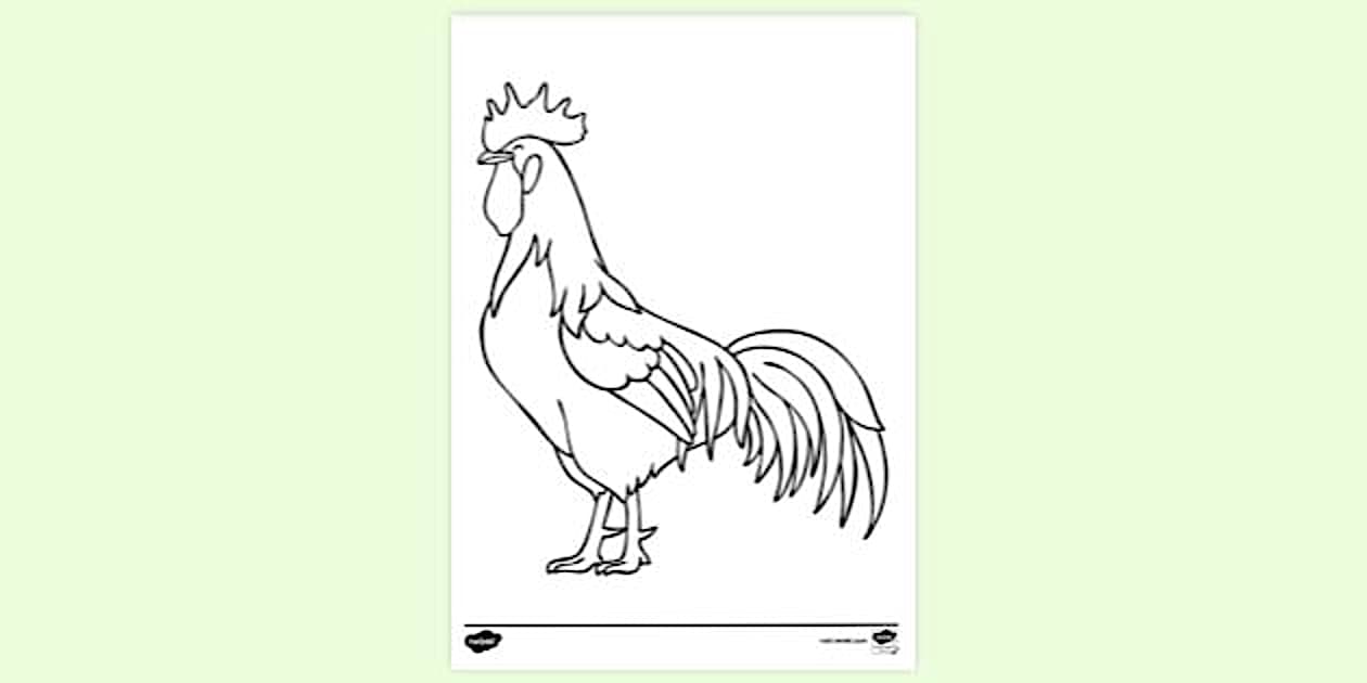 Rooster Silhouette Outline | Colouring Pages | Twinkl