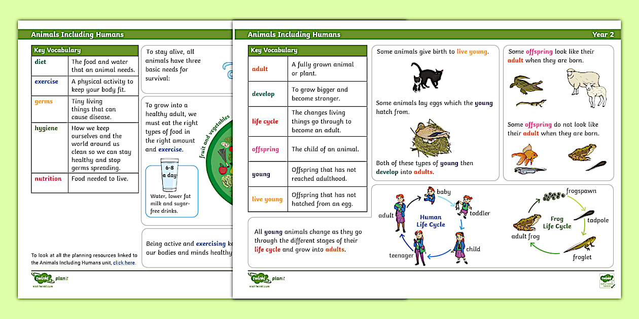 Science Knowledge Organiser: Animals Including Humans Year 2
