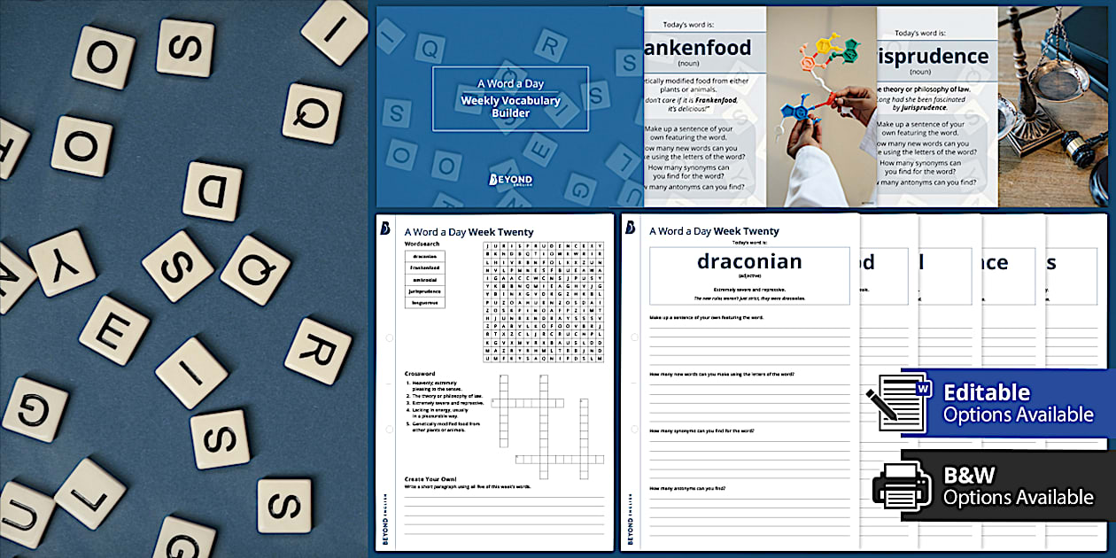 Word of The Day Vocabulary Building Exercises (20) | Beyond
