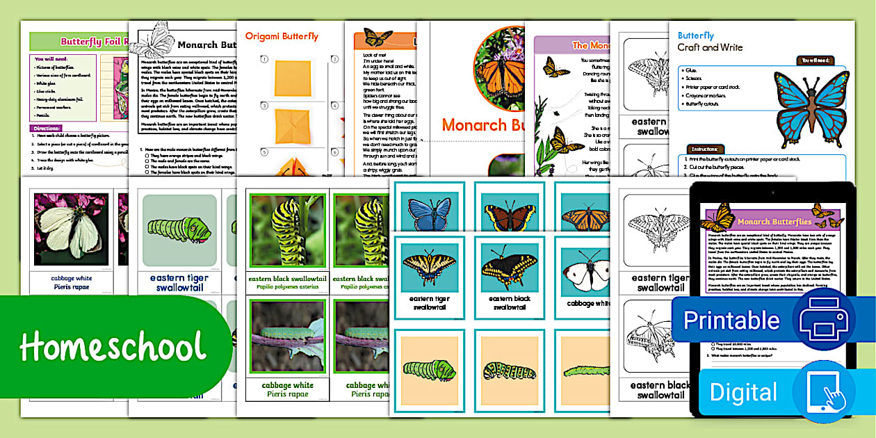 Butterfly Worksheets | Resource Pack for Grades 3-5