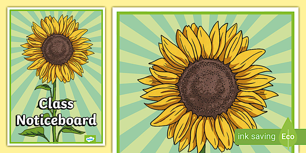 Sunflower Class Noticeboard Display Poster (teacher made)