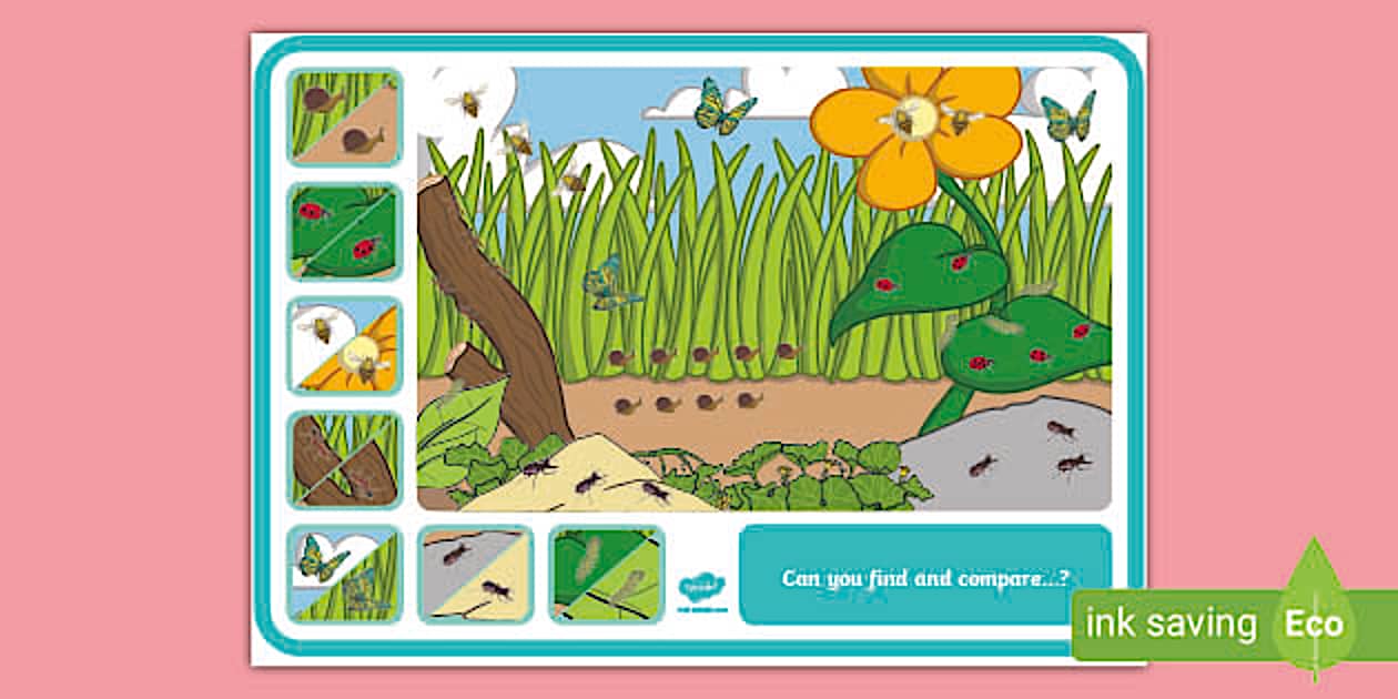 👉 Talk About Comparing Groups Of Identical Objects To 5 Maths Activity
